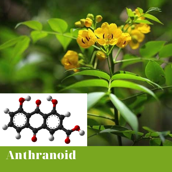Anthranoid - nhóm hoạt chất trong dược liệu chữa táo bón và những điều ...